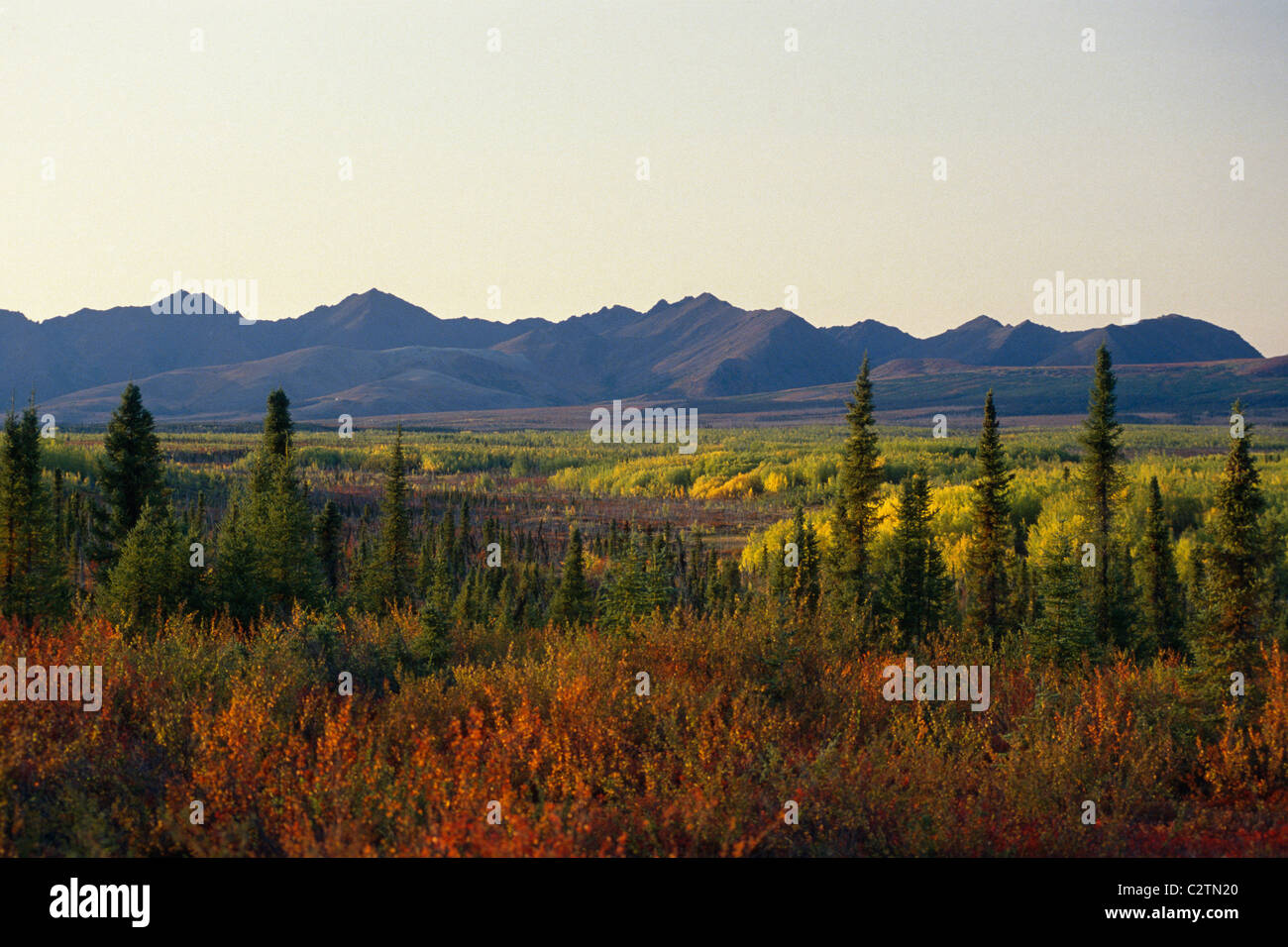 2405old hi-res stock photography and images - Alamy