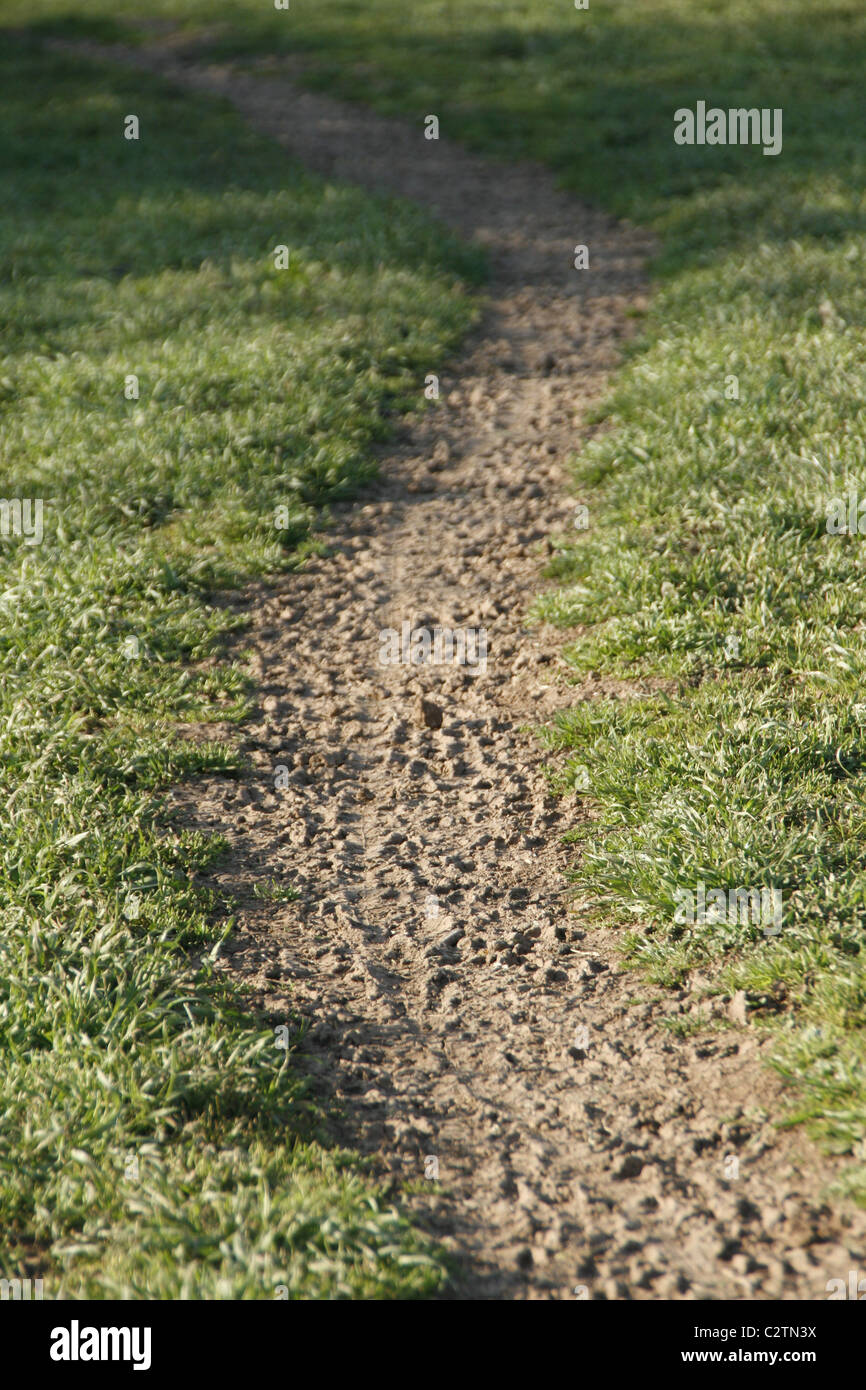 empty country lane track path in sun outdoors Stock Photo - Alamy