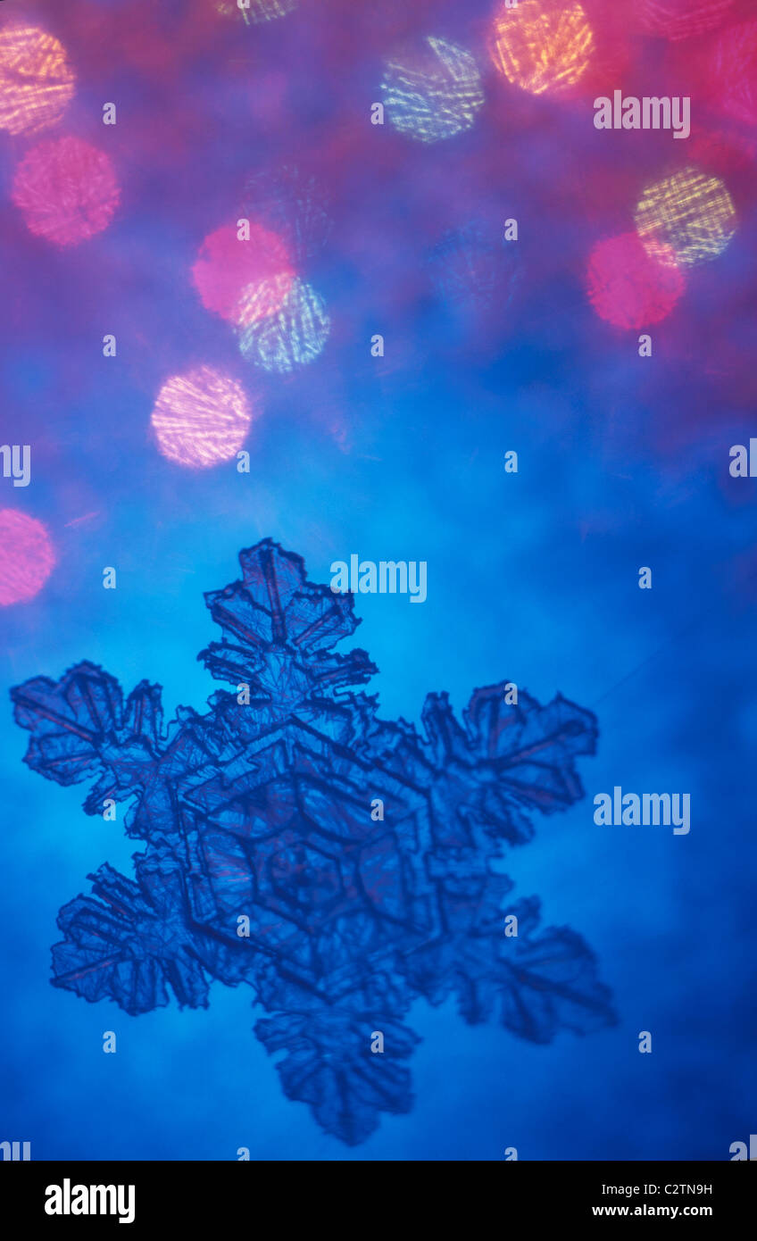 Close Up of Snow Flakes Stock Photo - Alamy