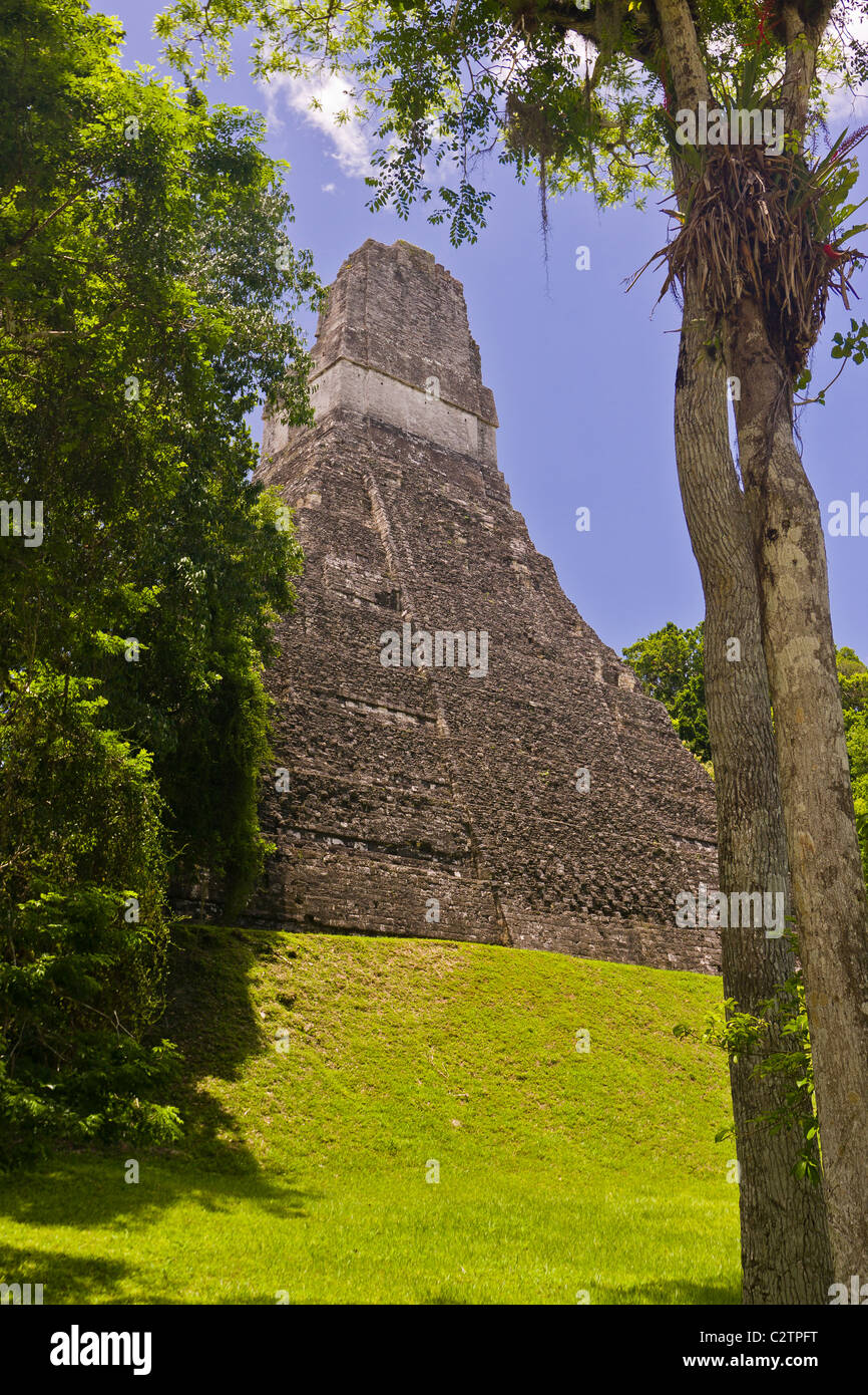 Guatemala grass hi-res stock photography and images - Alamy
