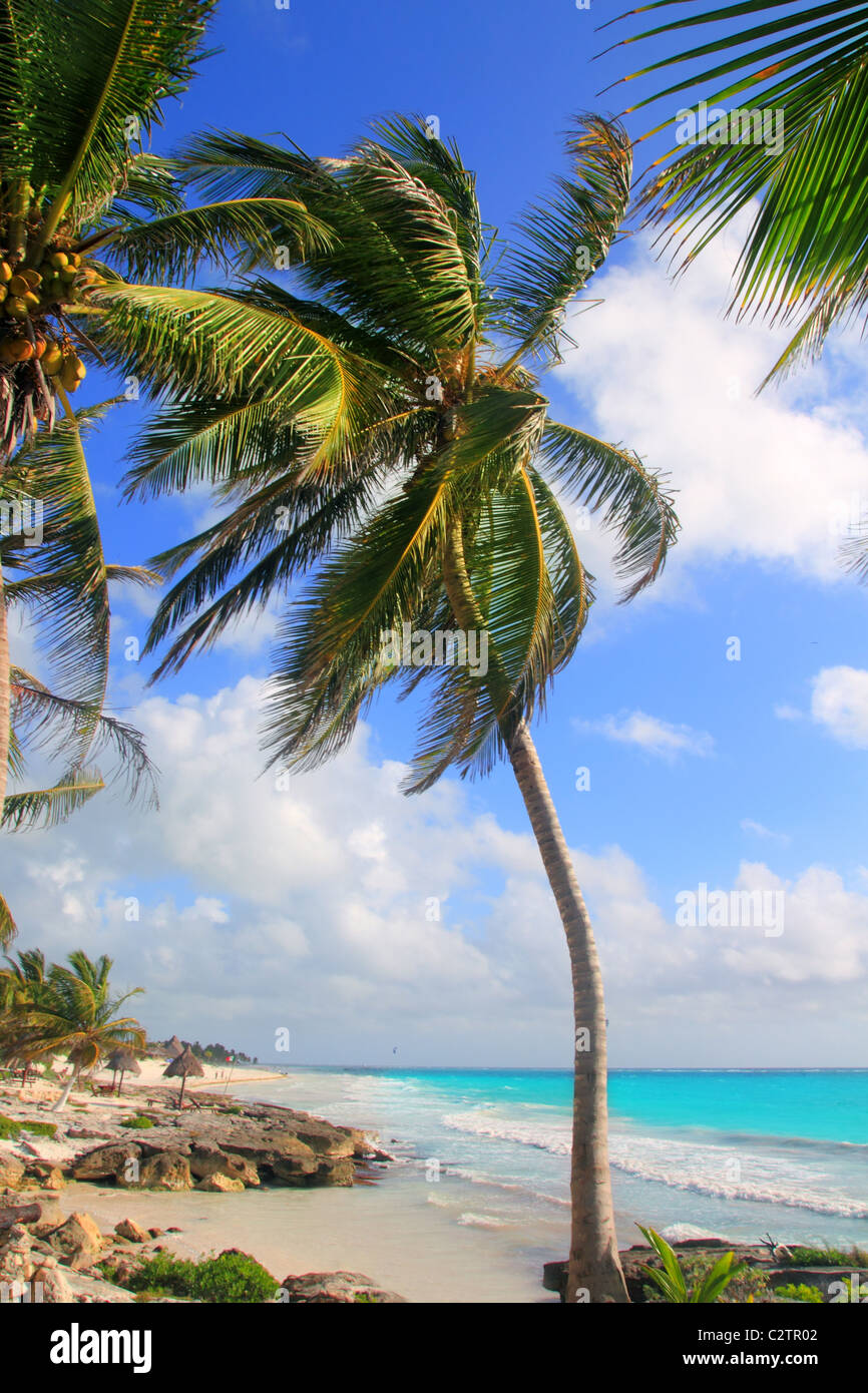 Caribbean Tulum Mexico tropical turquoise beach Mayan Riviera Stock ...