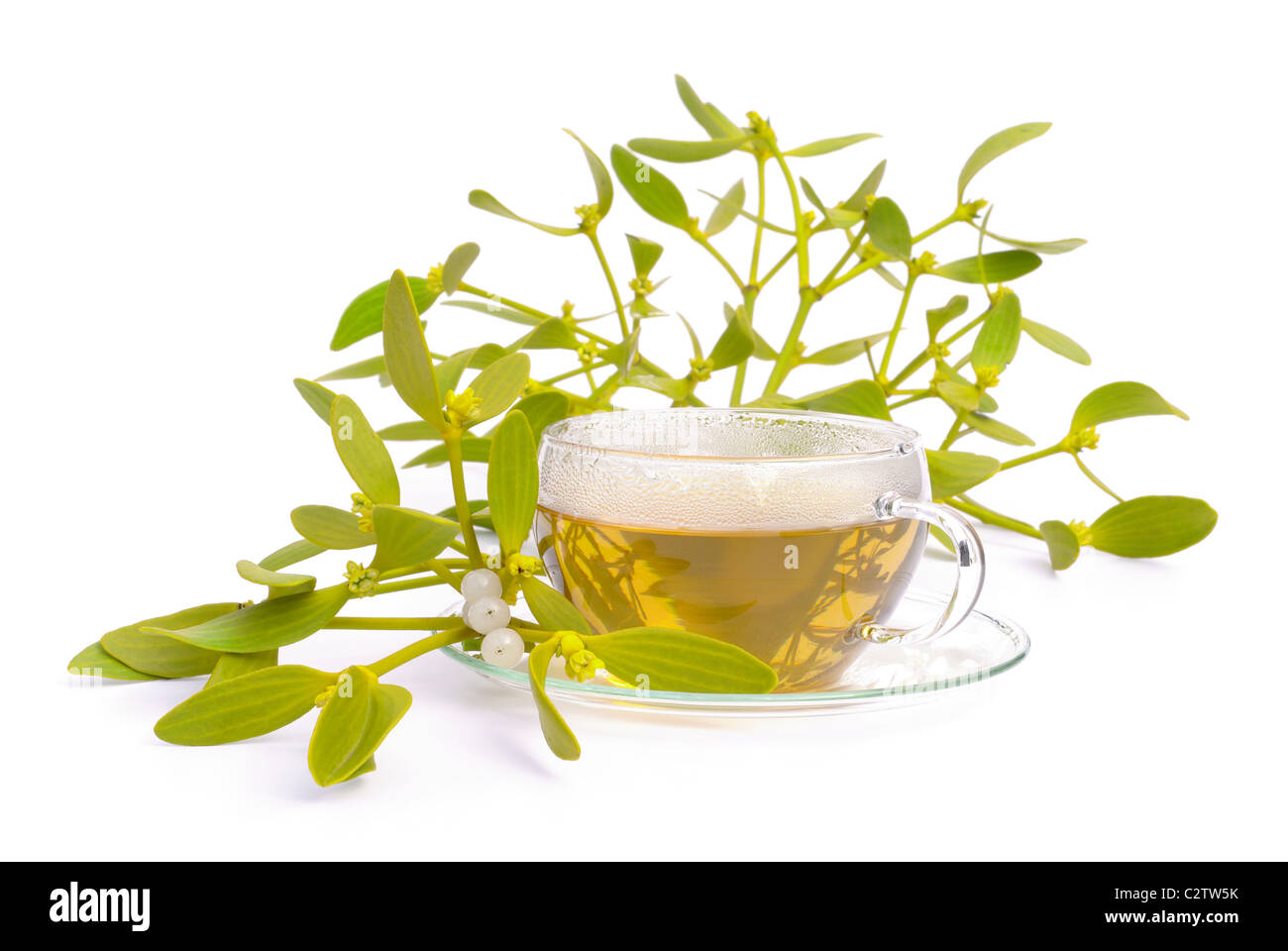 Tee Mistel - tea mistletoe 03 Stock Photo - Alamy