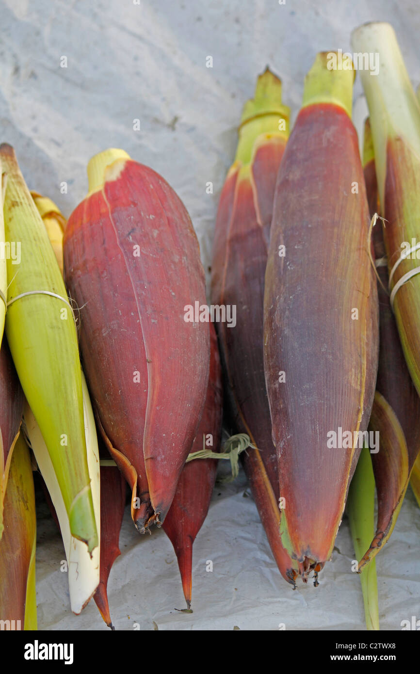 Banana flowers, Musa x paradisiaca at market, Miao, Arunachal Pradesh ...