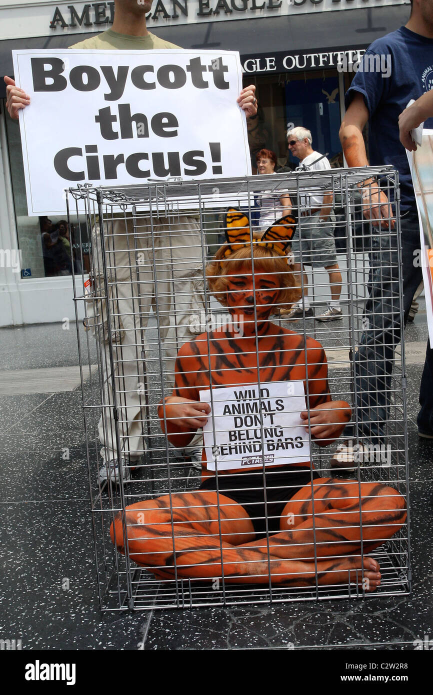 Members of the People for the Ethical Treatment of Animals (PETA ...