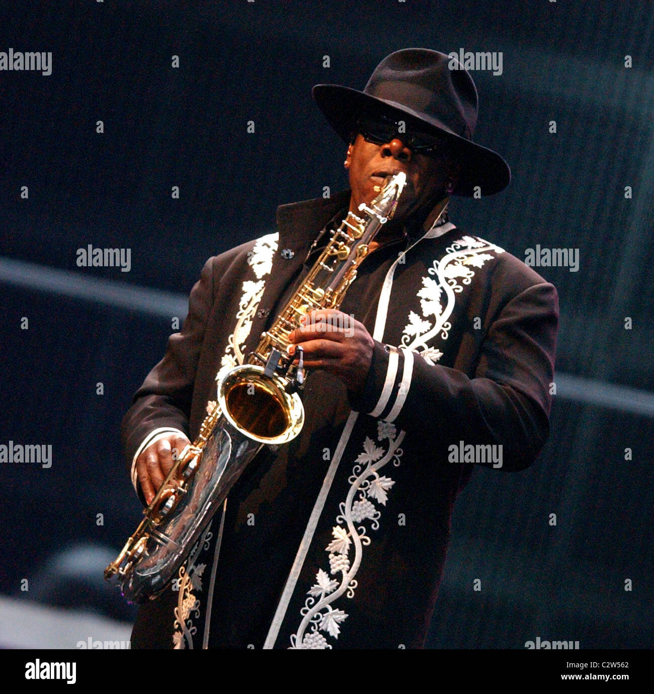 Clarence Clemons Bruce Springsteen and the E Street Band perform in ...