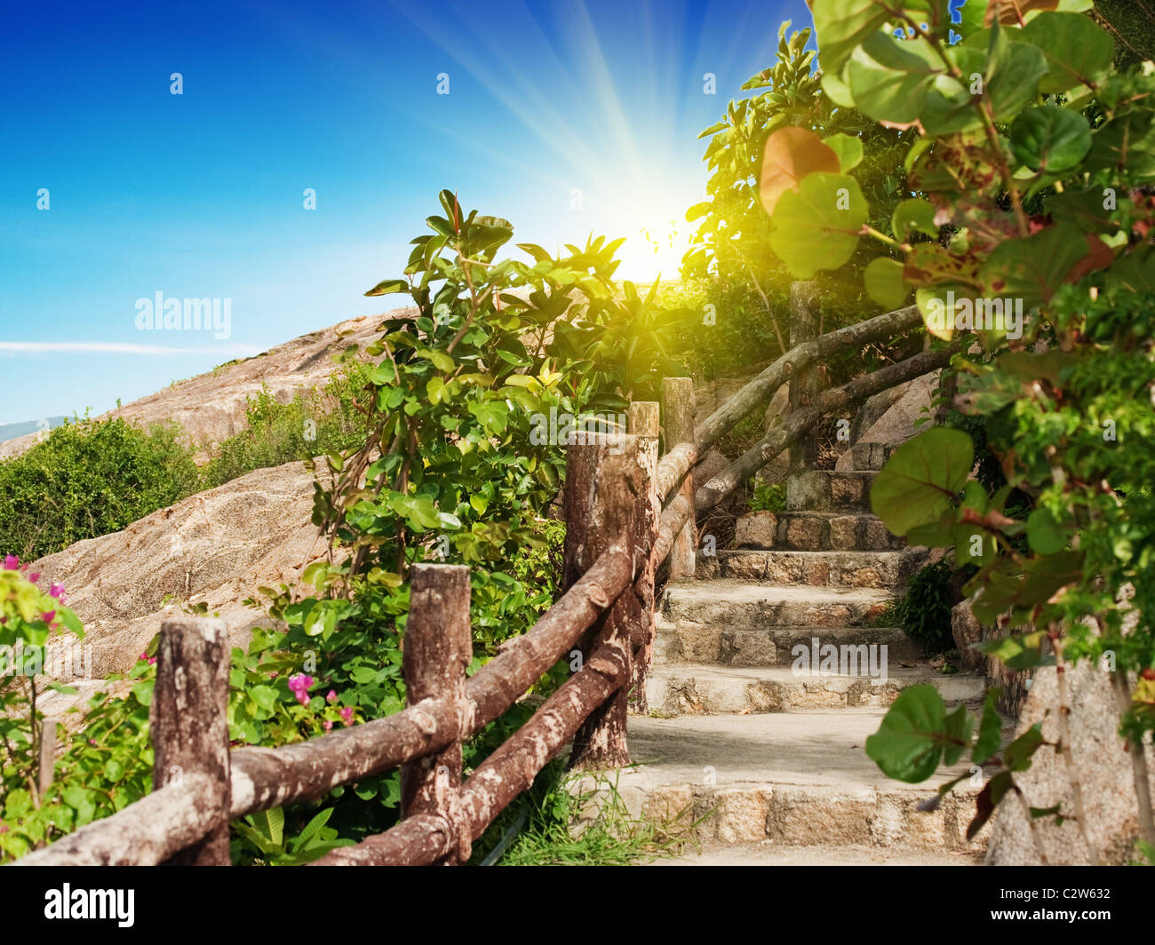 Wooden stairs in the tropical garden Stock Photo - Alamy