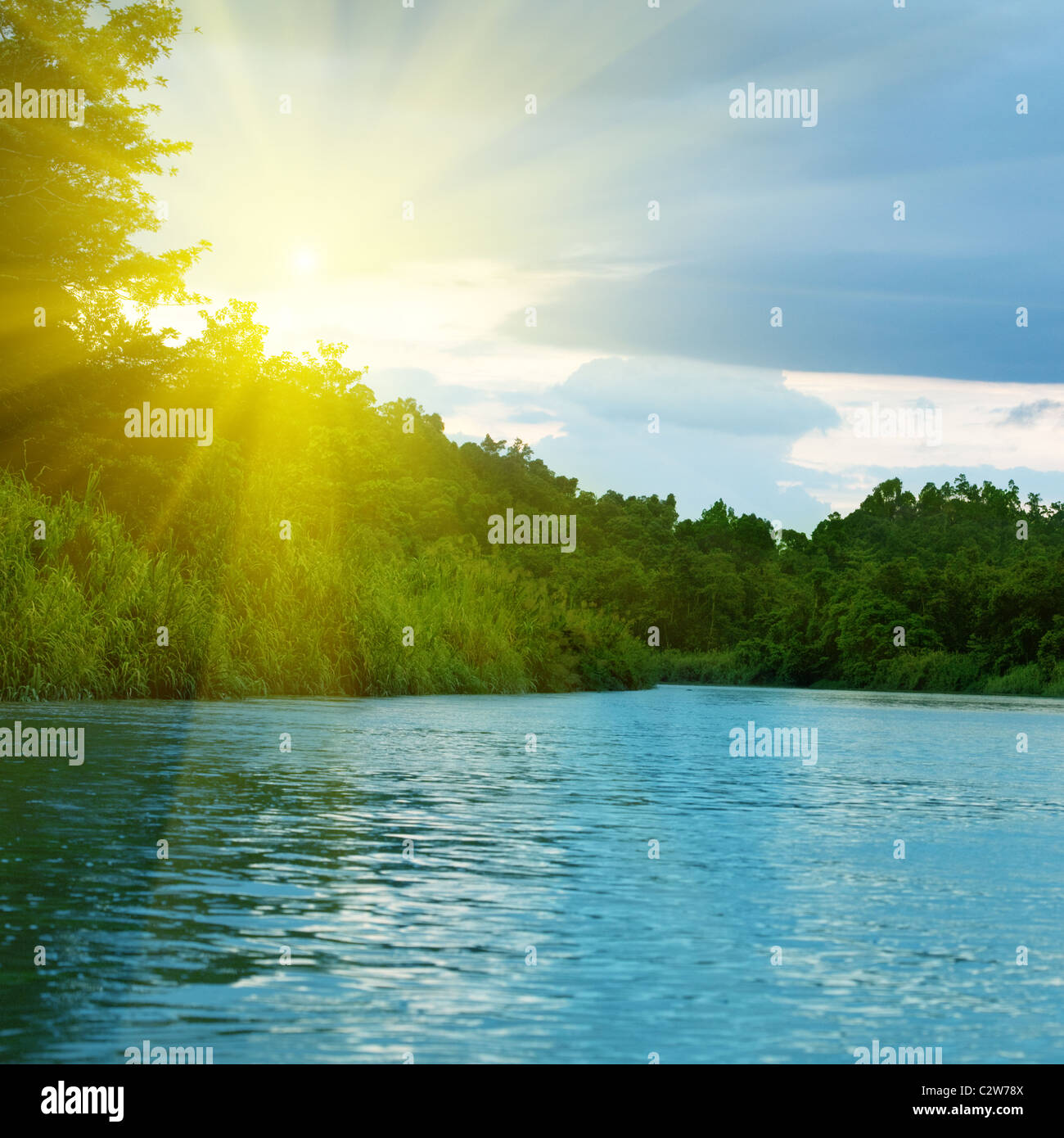 Lake in deep forest hi-res stock photography and images - Alamy