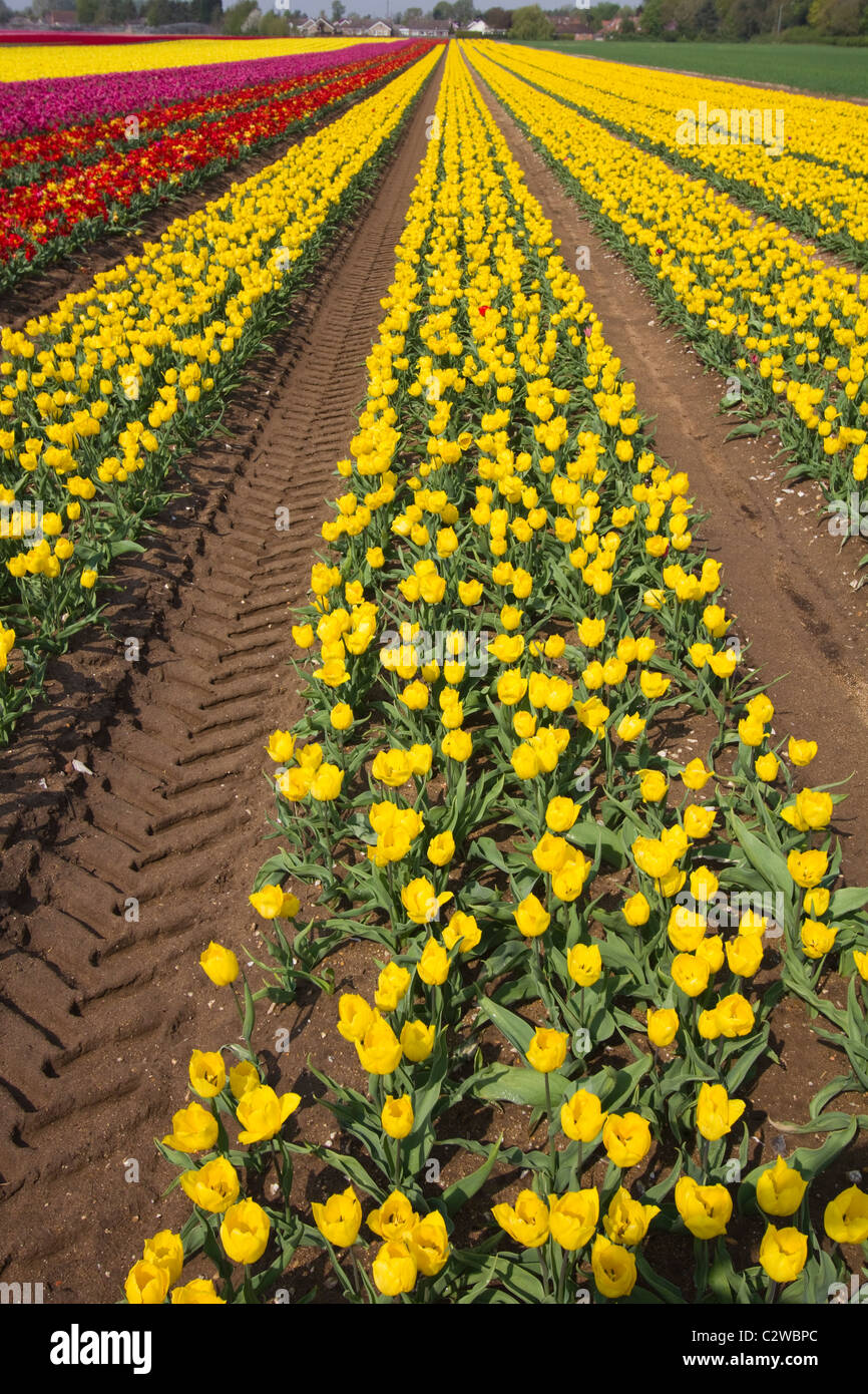 Farm shops in norfolk hi-res stock photography and images - Alamy