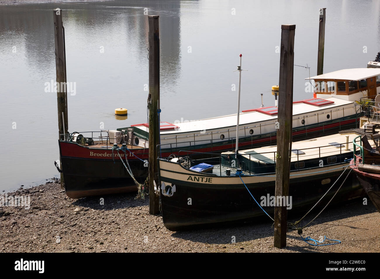 Boats on River Thames Bank in Chelsea Stock Photo - Alamy