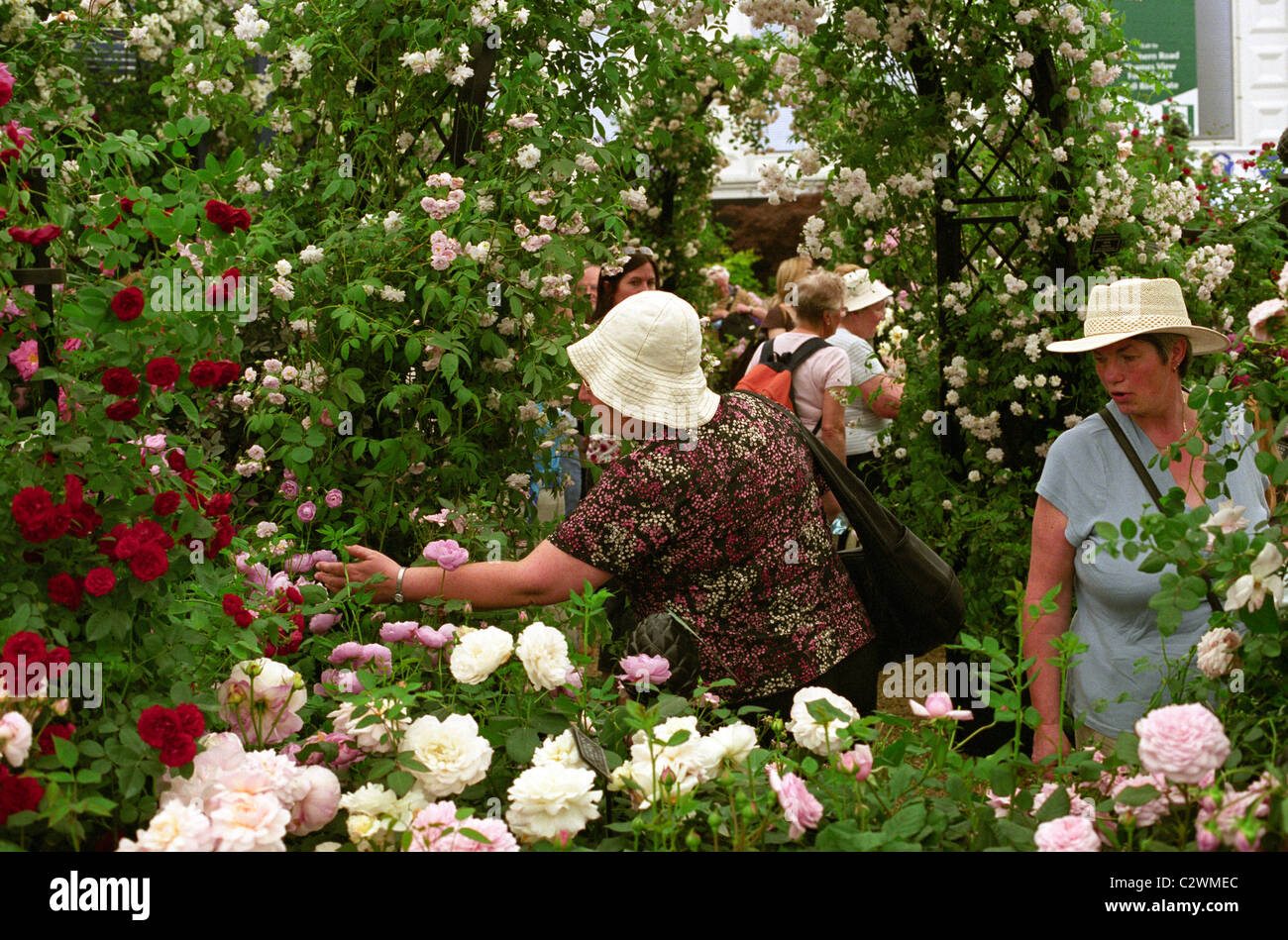 Chelsea Flower Show Stock Photo - Alamy