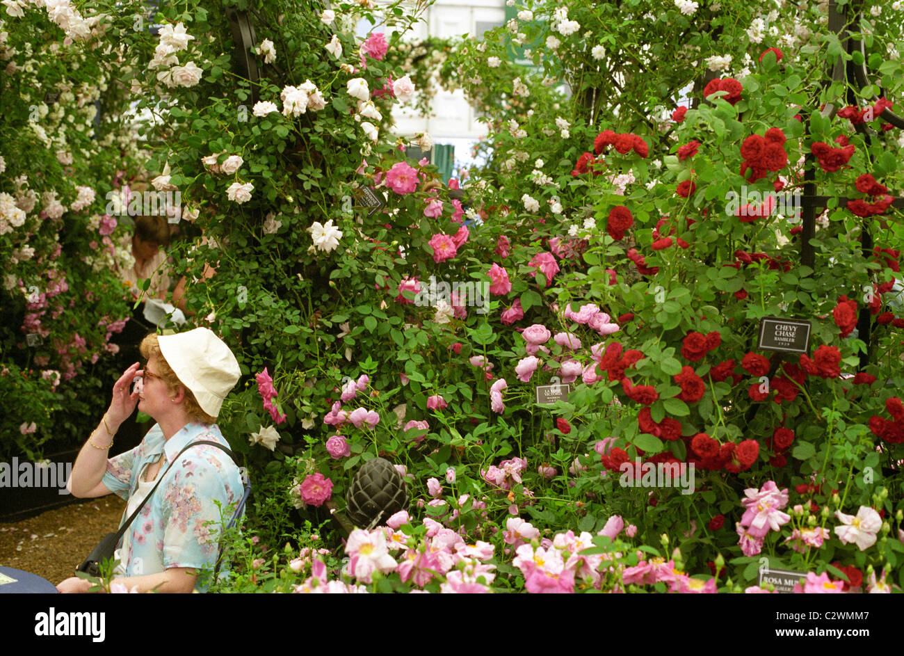 Chelsea Flower Show Stock Photo - Alamy