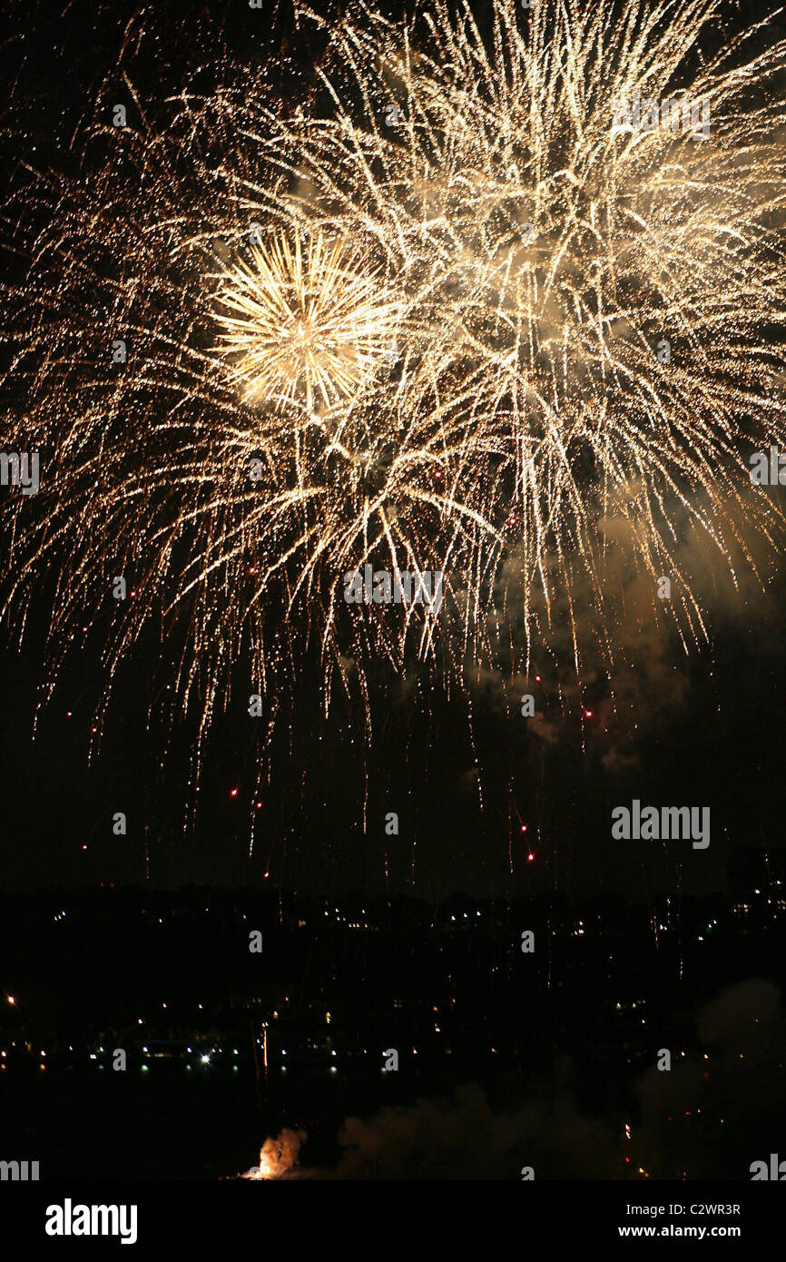 Fireworks Celebration of the Life and Legacy of Dr. Barbara Ann Teer at ...