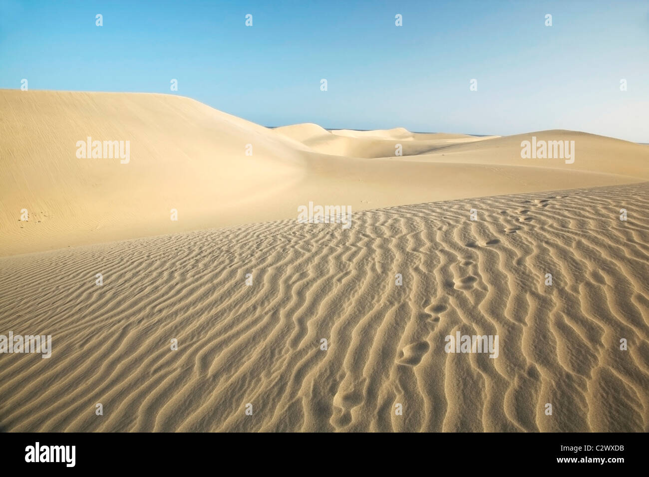 big dunes at maspalomas natural park in great canary spain Stock Photo ...