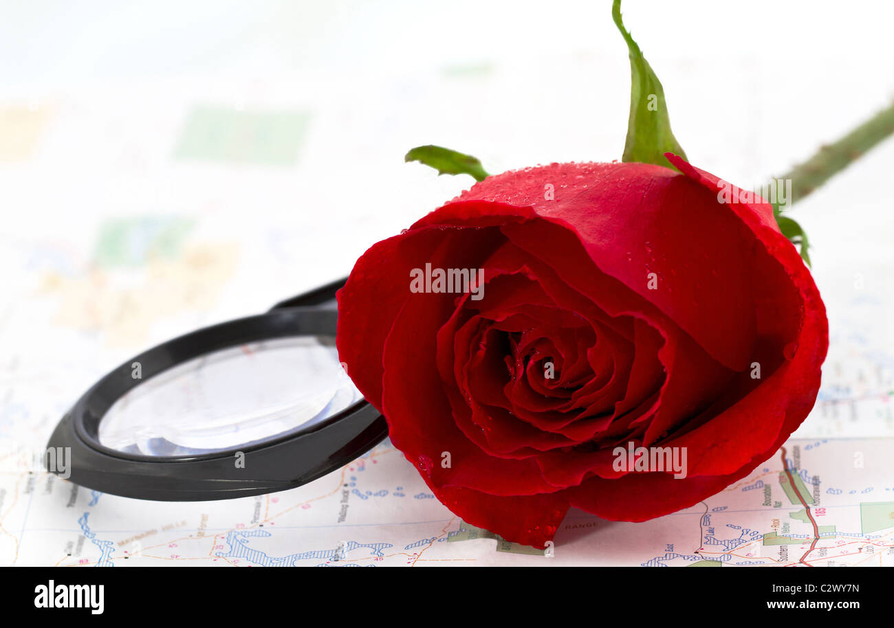 A red rose and magnifying glass are placed in sharp focus on an ...