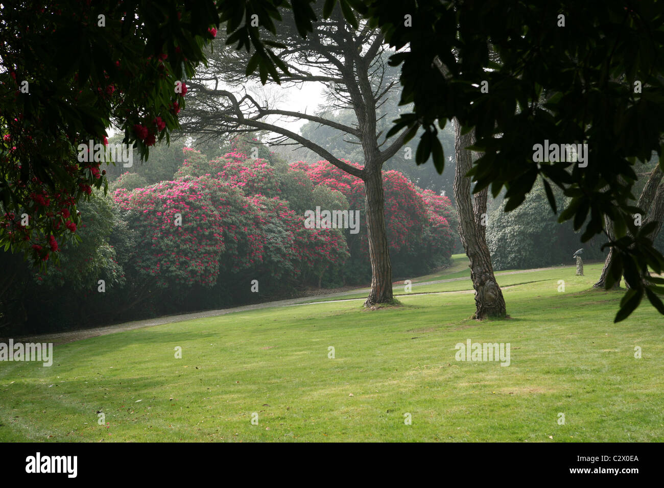 Tregothnan estate manor and gardens home of Lord Falmouth Stock Photo ...