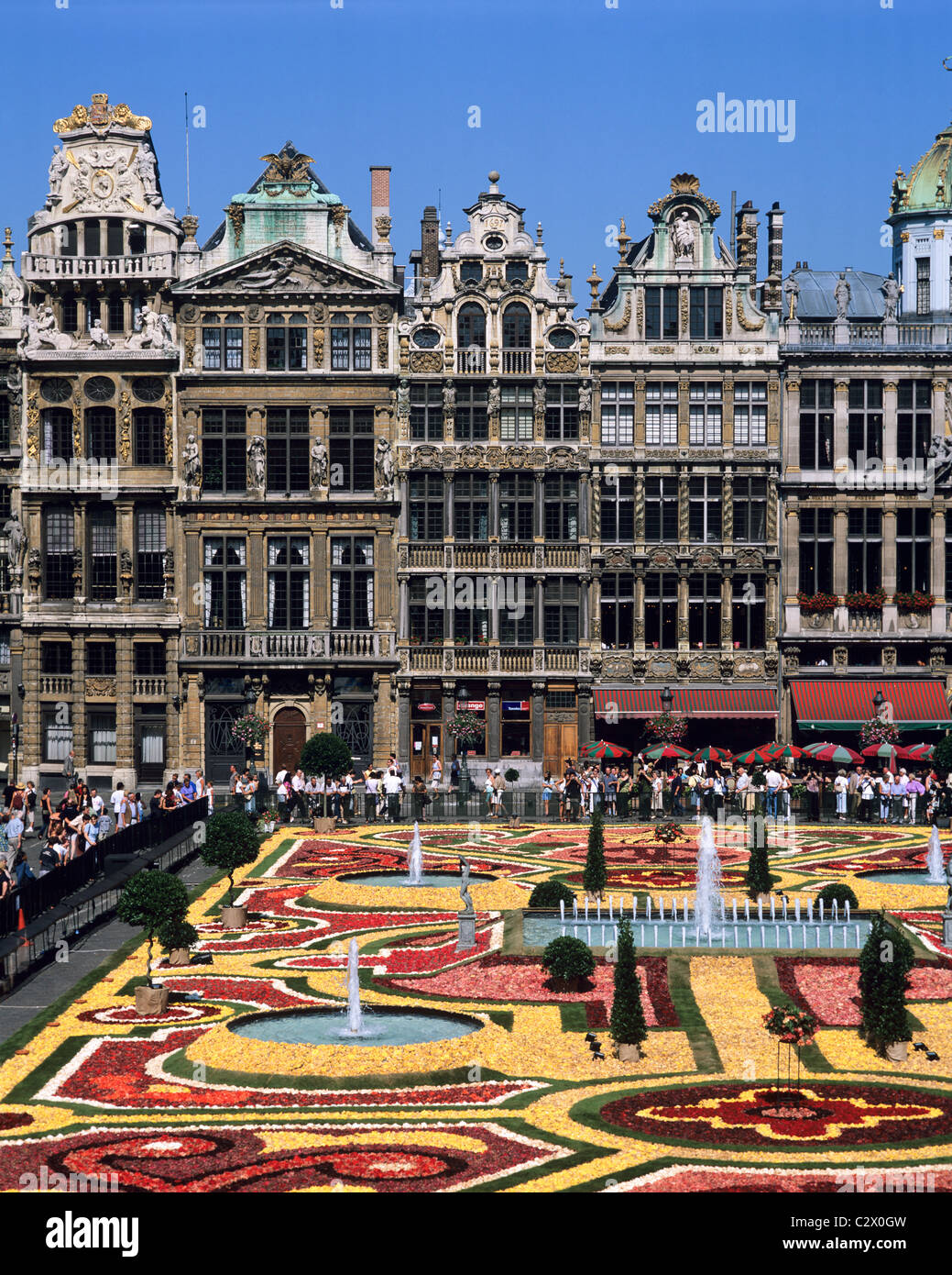 Flower display belgium hi-res stock photography and images - Alamy