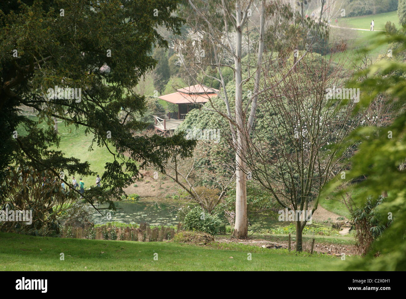 Tregothnan gardens hi-res stock photography and images - Alamy