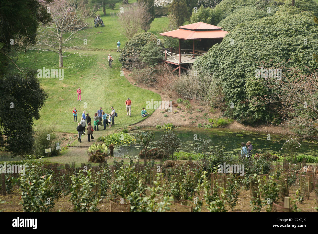 Open day at the Tregothnan estate- manor and gardens home of Lord ...