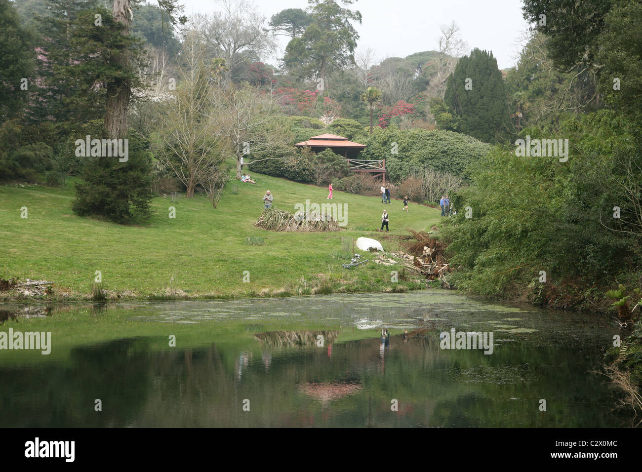 Tregothnan estate manor and gardens home of Lord Falmouth Stock Photo ...