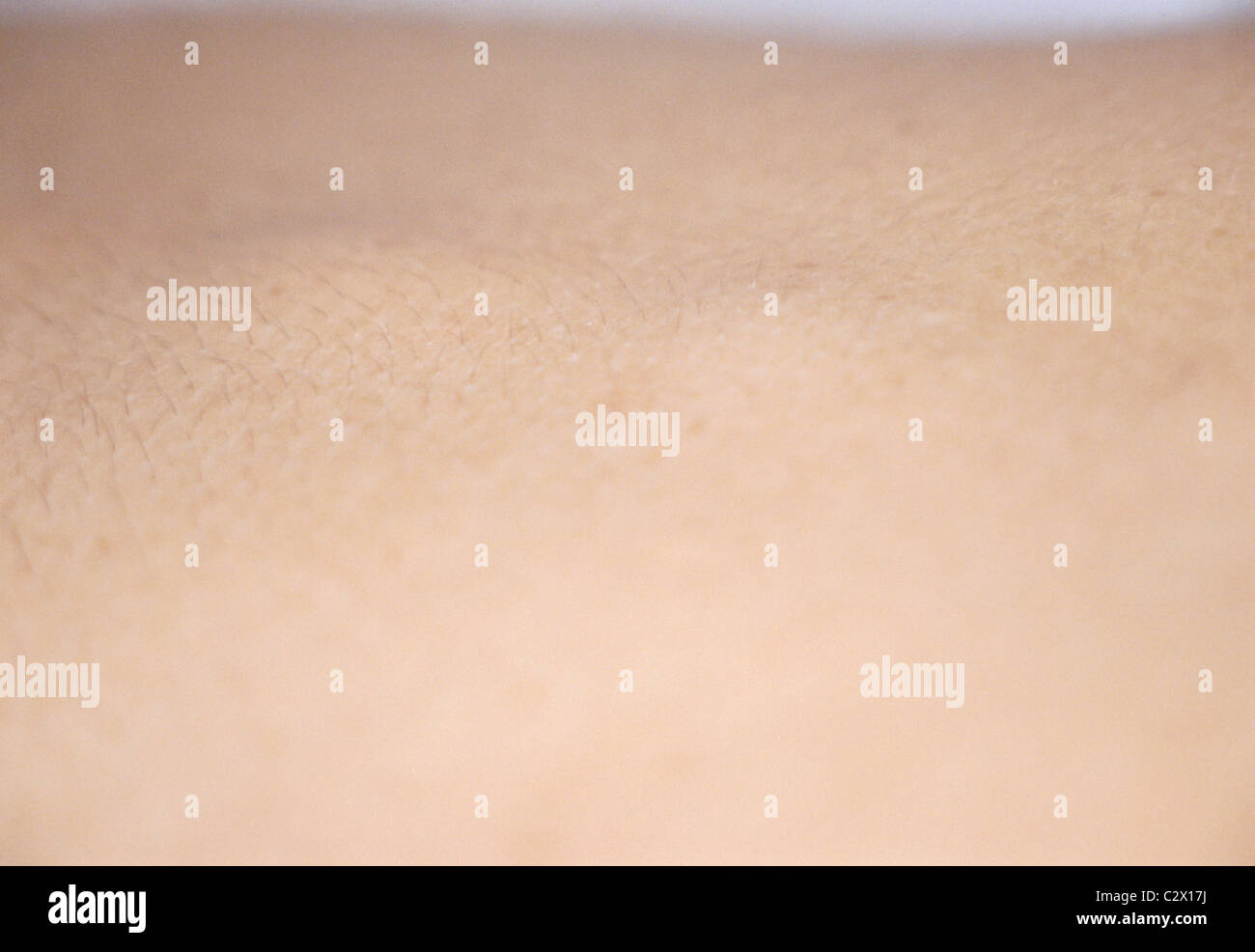 close up female body parts back Stock Photo - Alamy