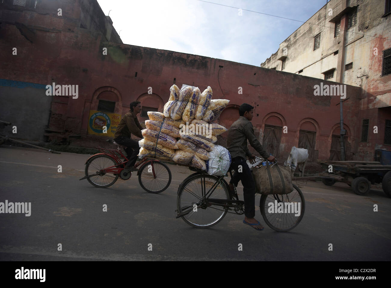 Man on bicycle with heavy load. Agra street scene, Uttar Pradesh, India ...