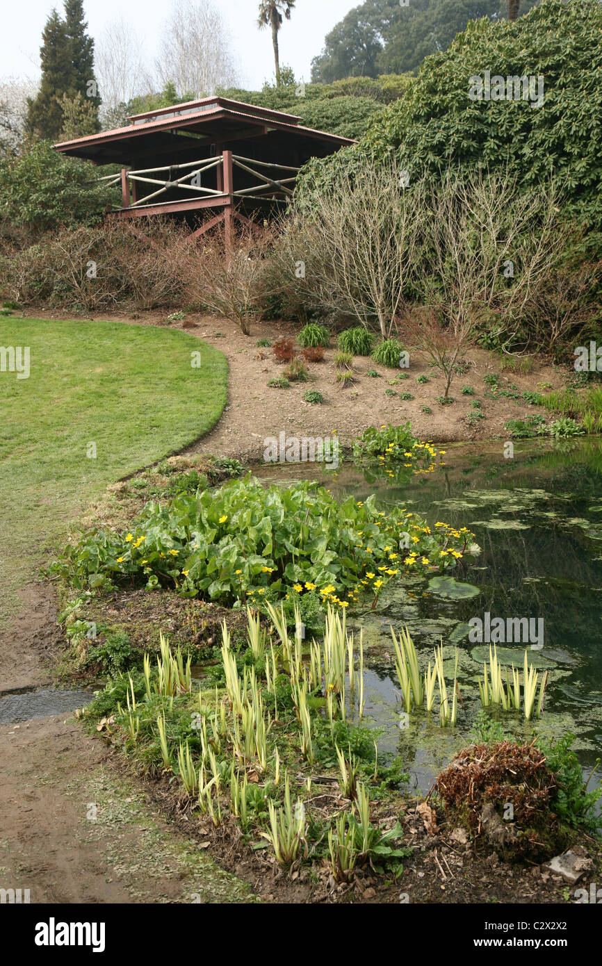 Tregothnan estate manor gardens home hi-res stock photography and ...