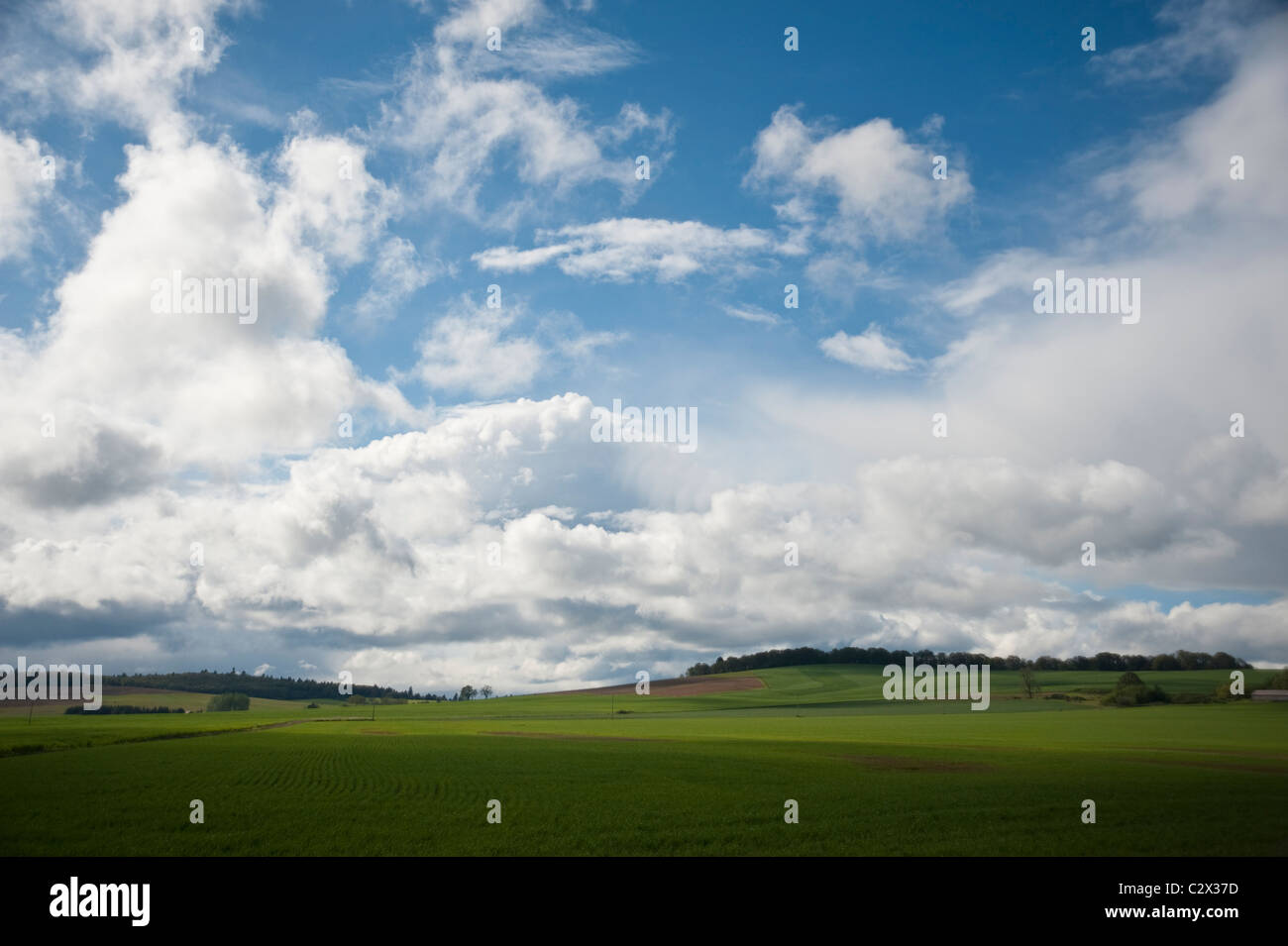 Green spring farm fields under a big sky in Oregon Stock Photo - Alamy
