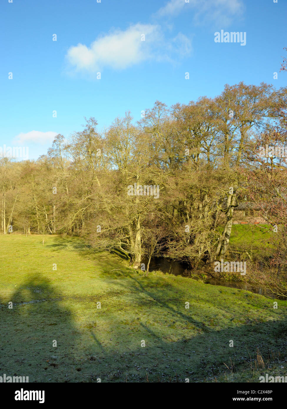 Trees on the River Arrow Stock Photo - Alamy