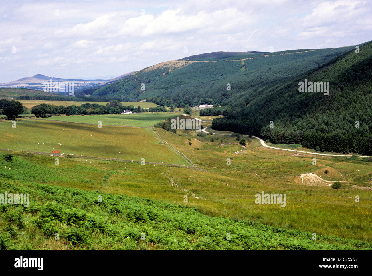 Woodland borders hi-res stock photography and images - Alamy