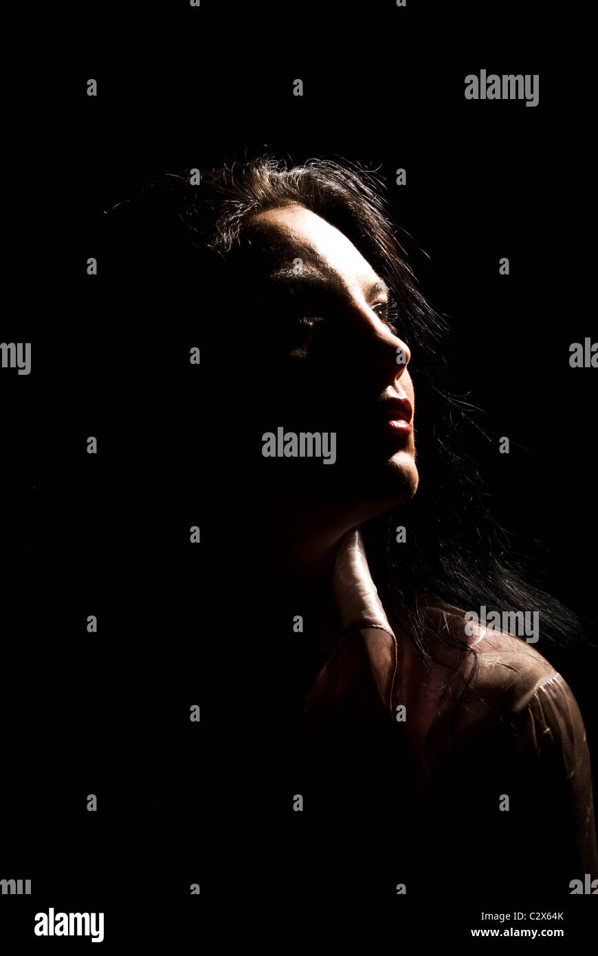 Portrait of beautiful brunette woman looking away in darkness with soft ...