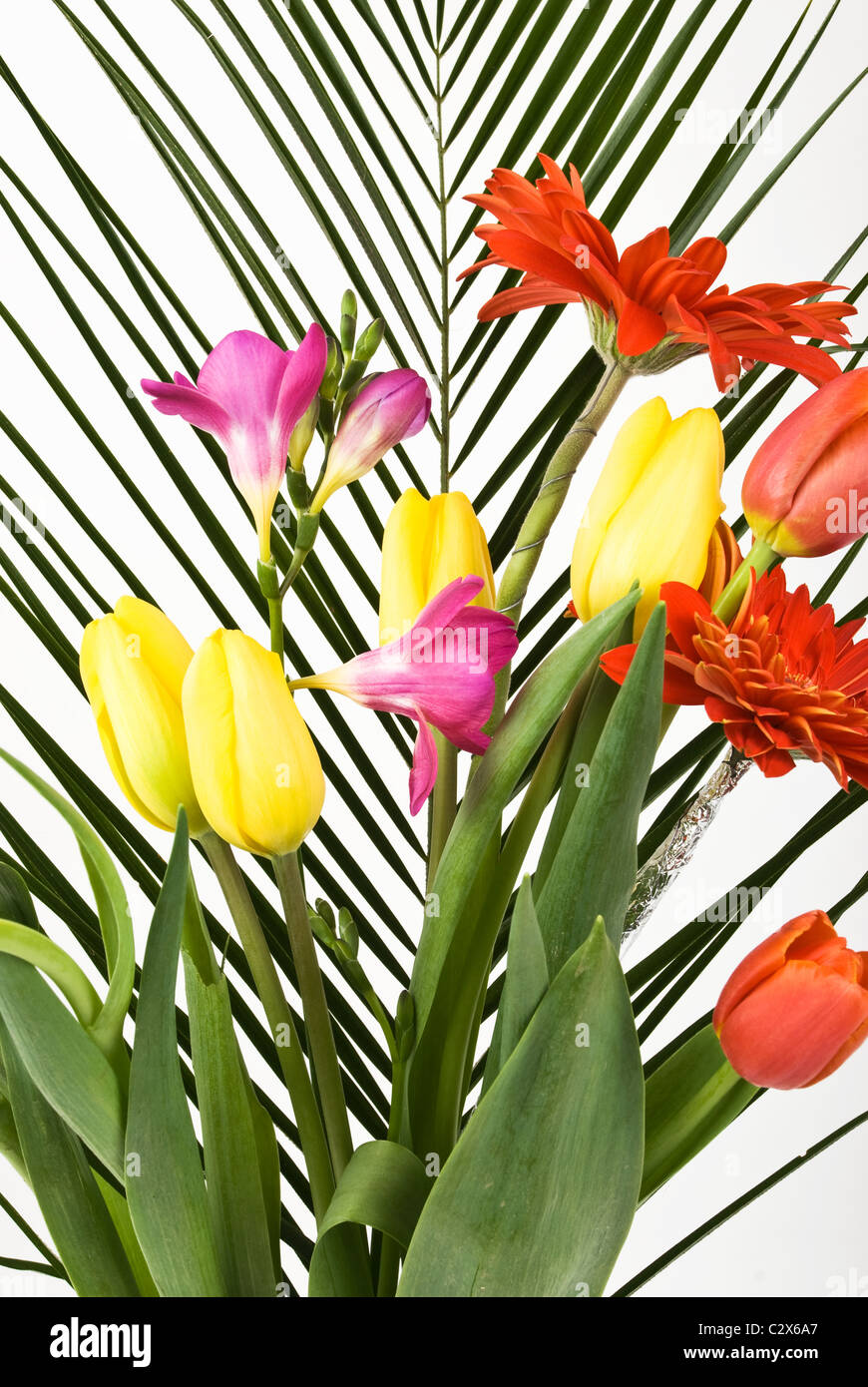 Bunch on beautiful fresh spring flowers on white background Stock Photo ...