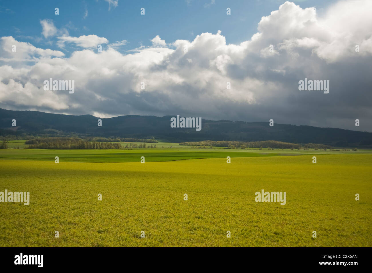 Green spring farm fields under a big sky in Oregon Stock Photo - Alamy
