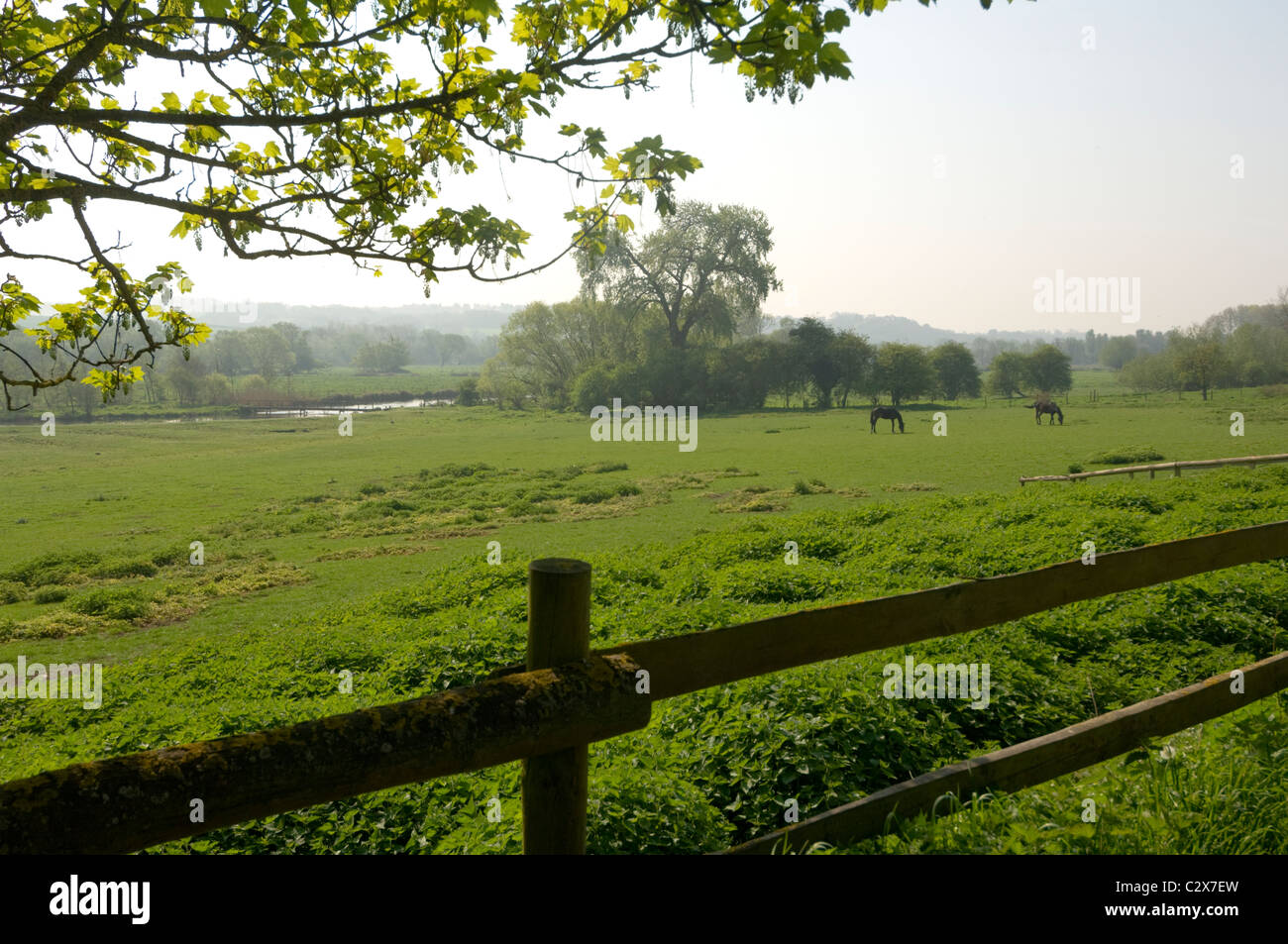 Test valley hi-res stock photography and images - Alamy