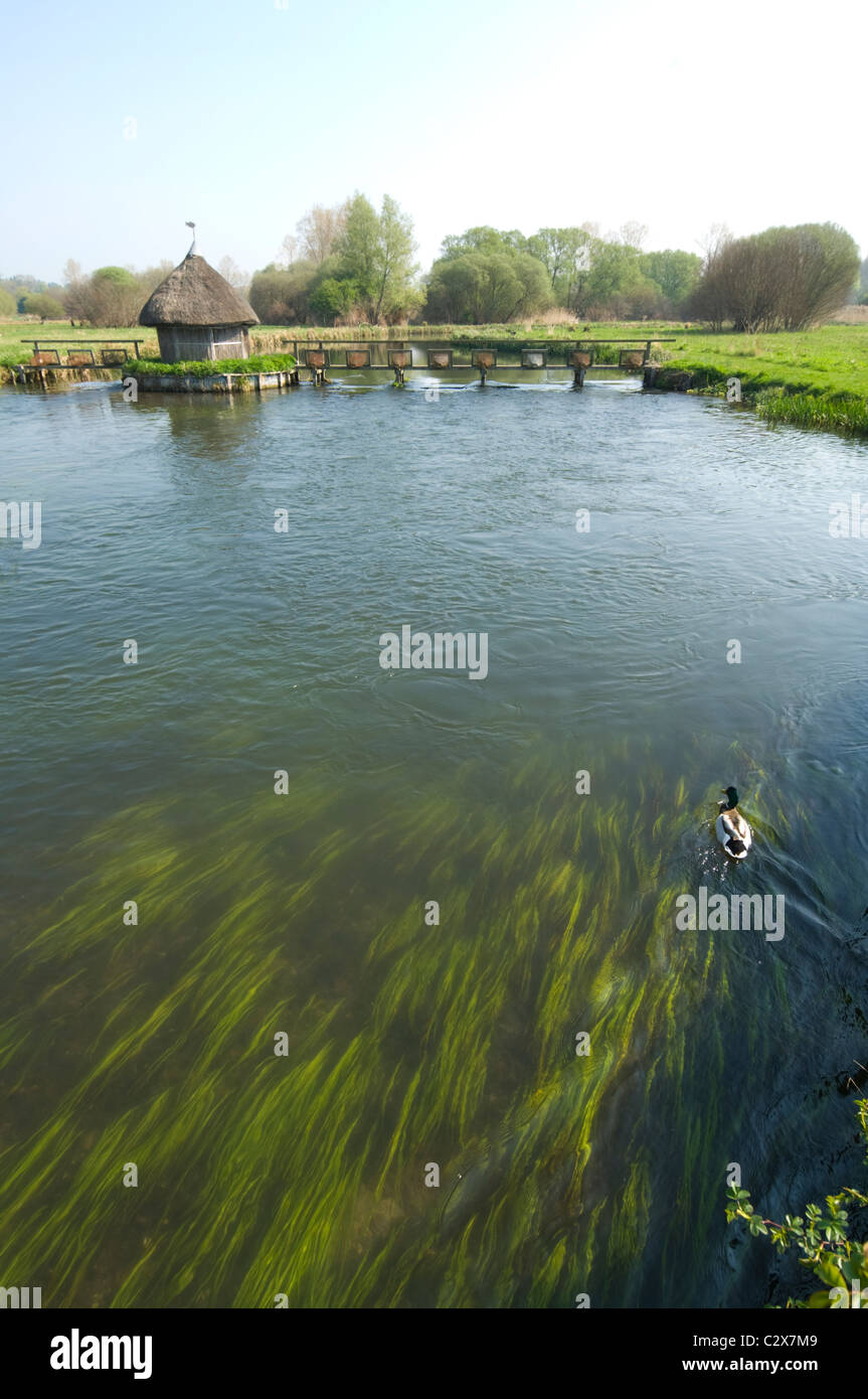 River test fisherman hi-res stock photography and images - Alamy
