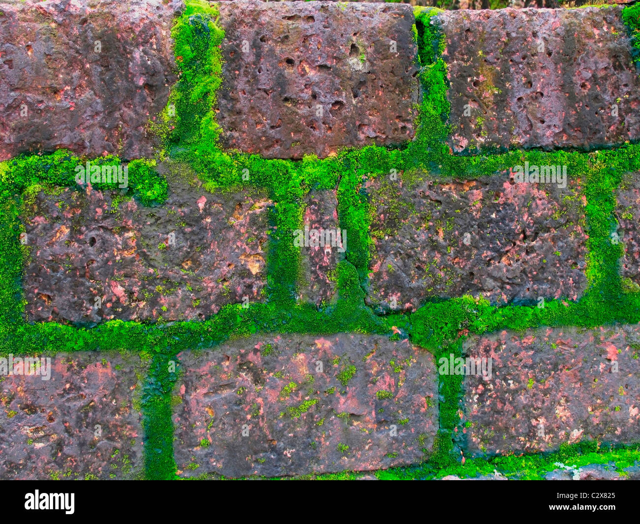 Traditional kerala roof hi-res stock photography and images - Alamy