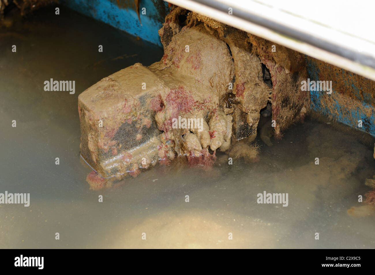 A heavily fouled out-drive engine on a boat in a dried-out mooring ...