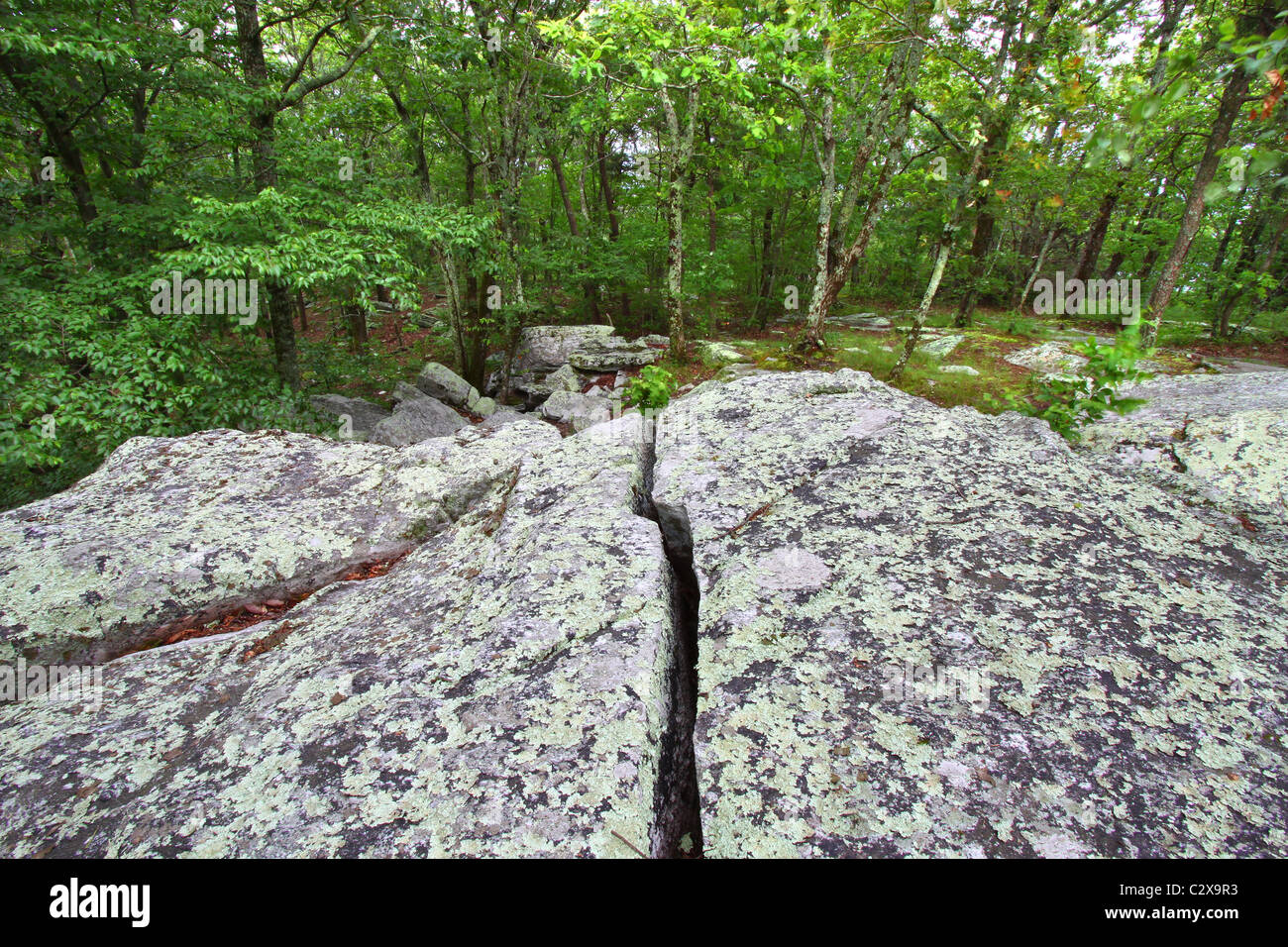 Cheaha State Park - Alabama Stock Photo - Alamy