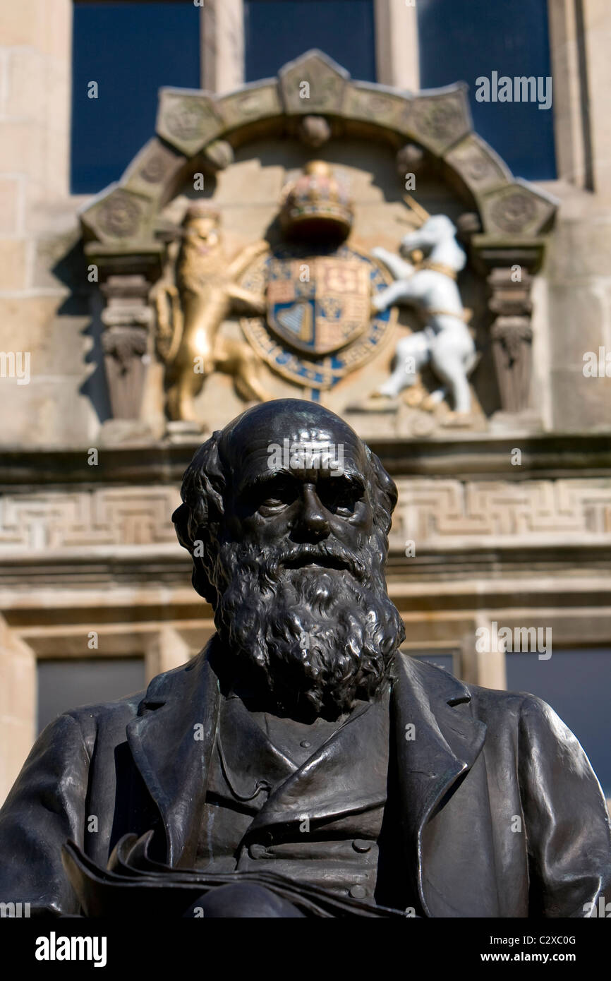 Statue of Charles Darwin in front of the library in Shrewsbury ...
