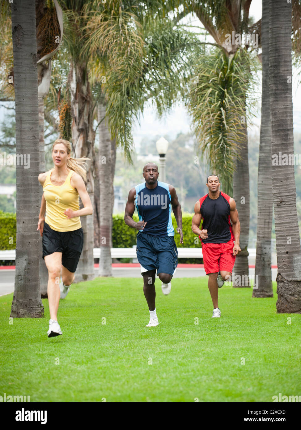 People running in park together Stock Photo - Alamy