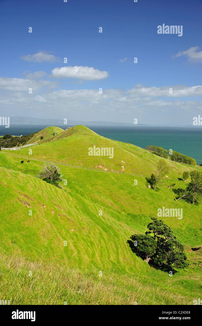 Whangapoua Stock Photos & Whangapoua Stock Images - Alamy