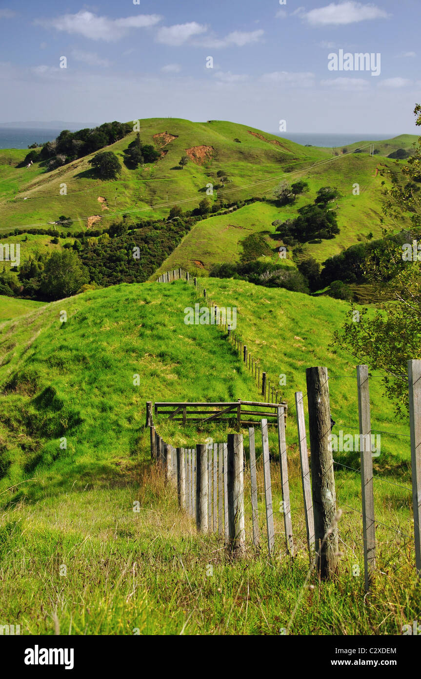 Landscape view from Whangapoua Road, Coromandel Peninsula, Waikato ...