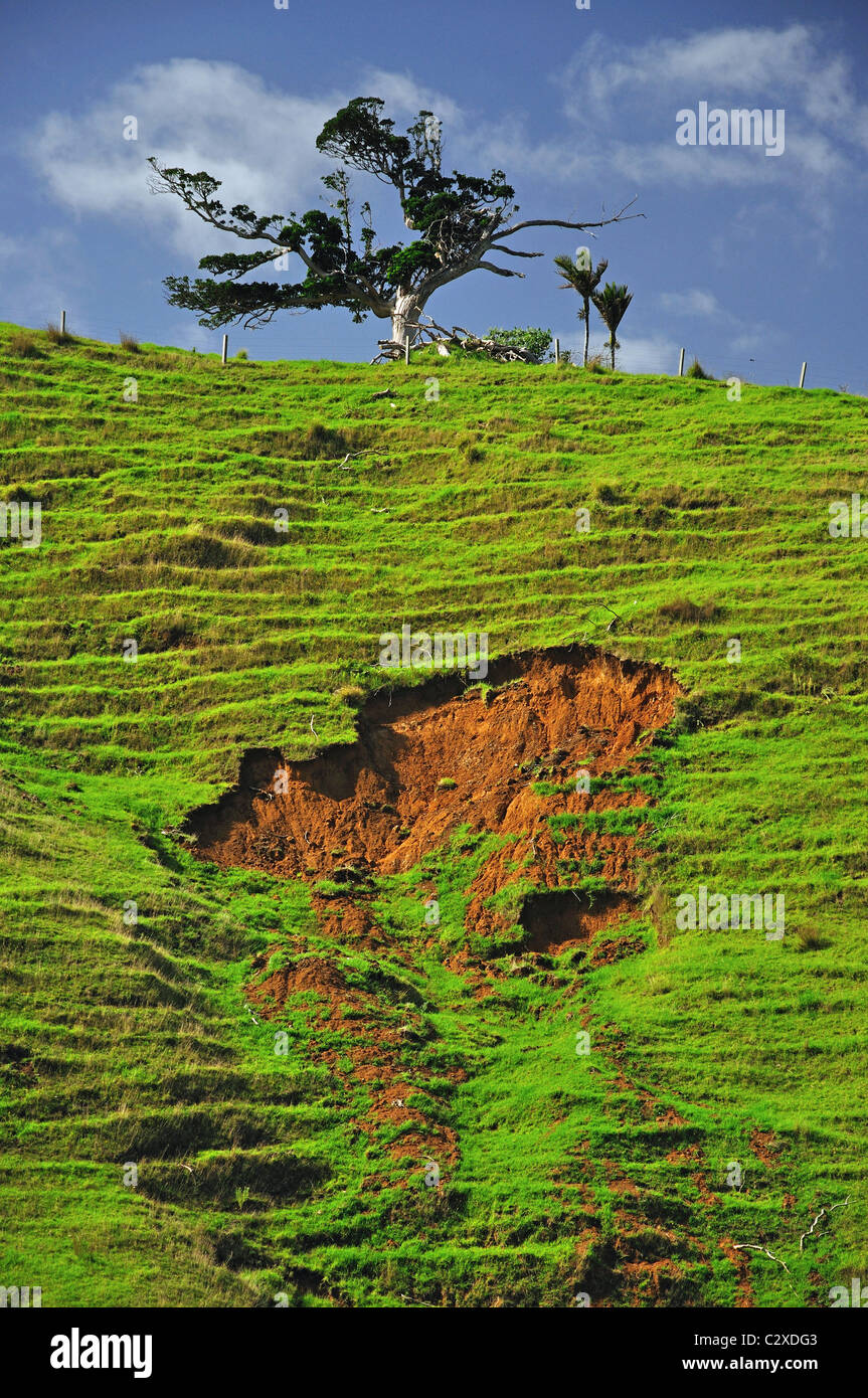 Earth slip in field from Whangapoua Road, Coromandel Peninsula, Waikato ...