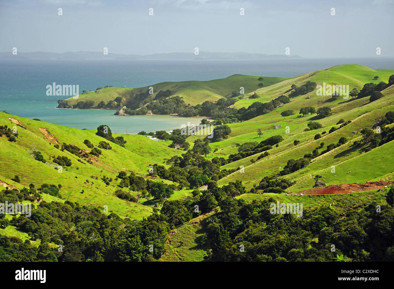 Whangapoua hi-res stock photography and images - Alamy