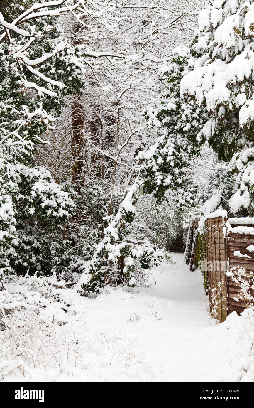 Back alley covered in snow hi-res stock photography and images - Alamy