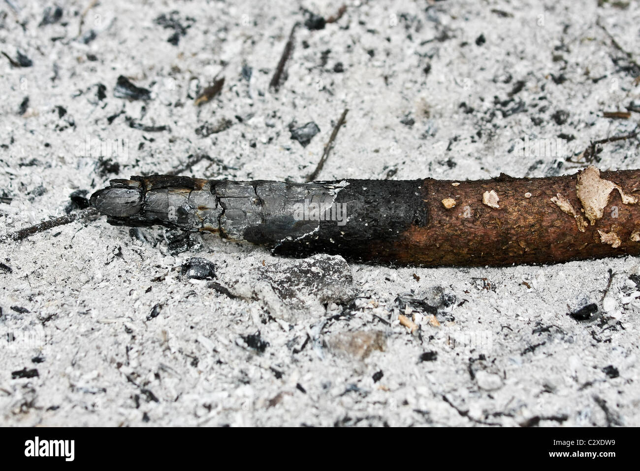 Ash log hi-res stock photography and images - Alamy