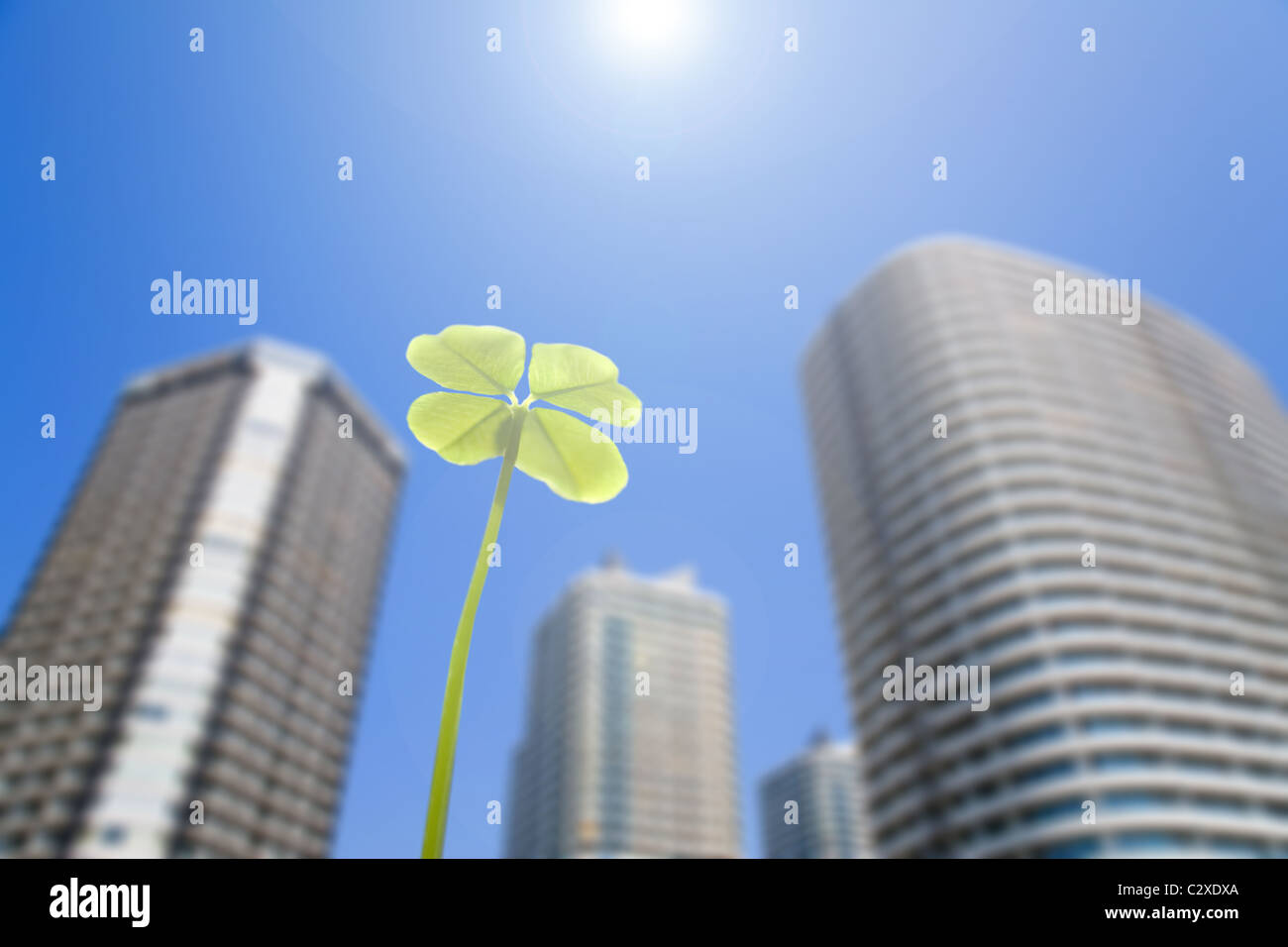 Skyscraper and clover Stock Photo - Alamy