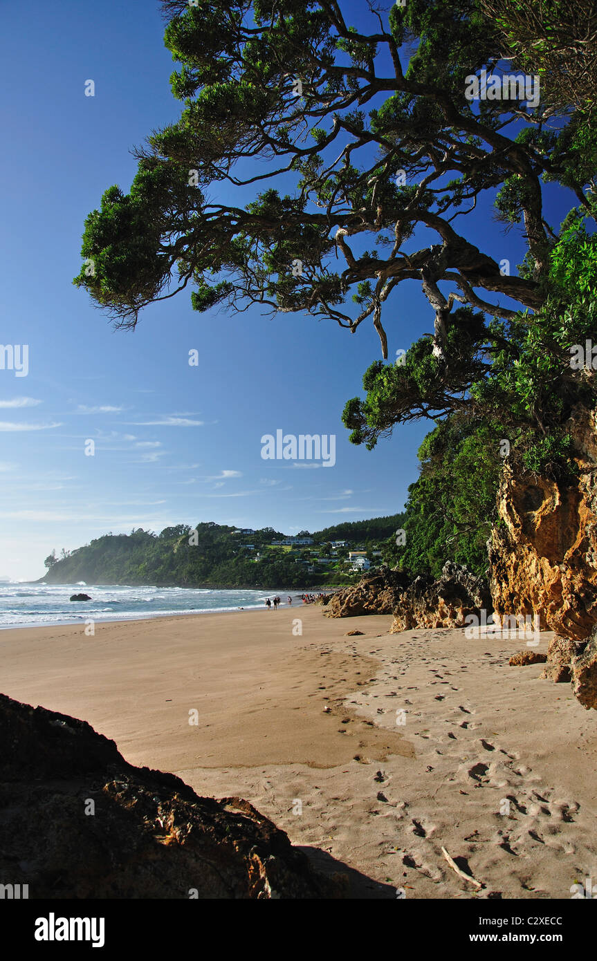 Hot Water Beach, Mercury Bay, Coromandel Peninsula, Waikato Region, North Island, New Zealand ...