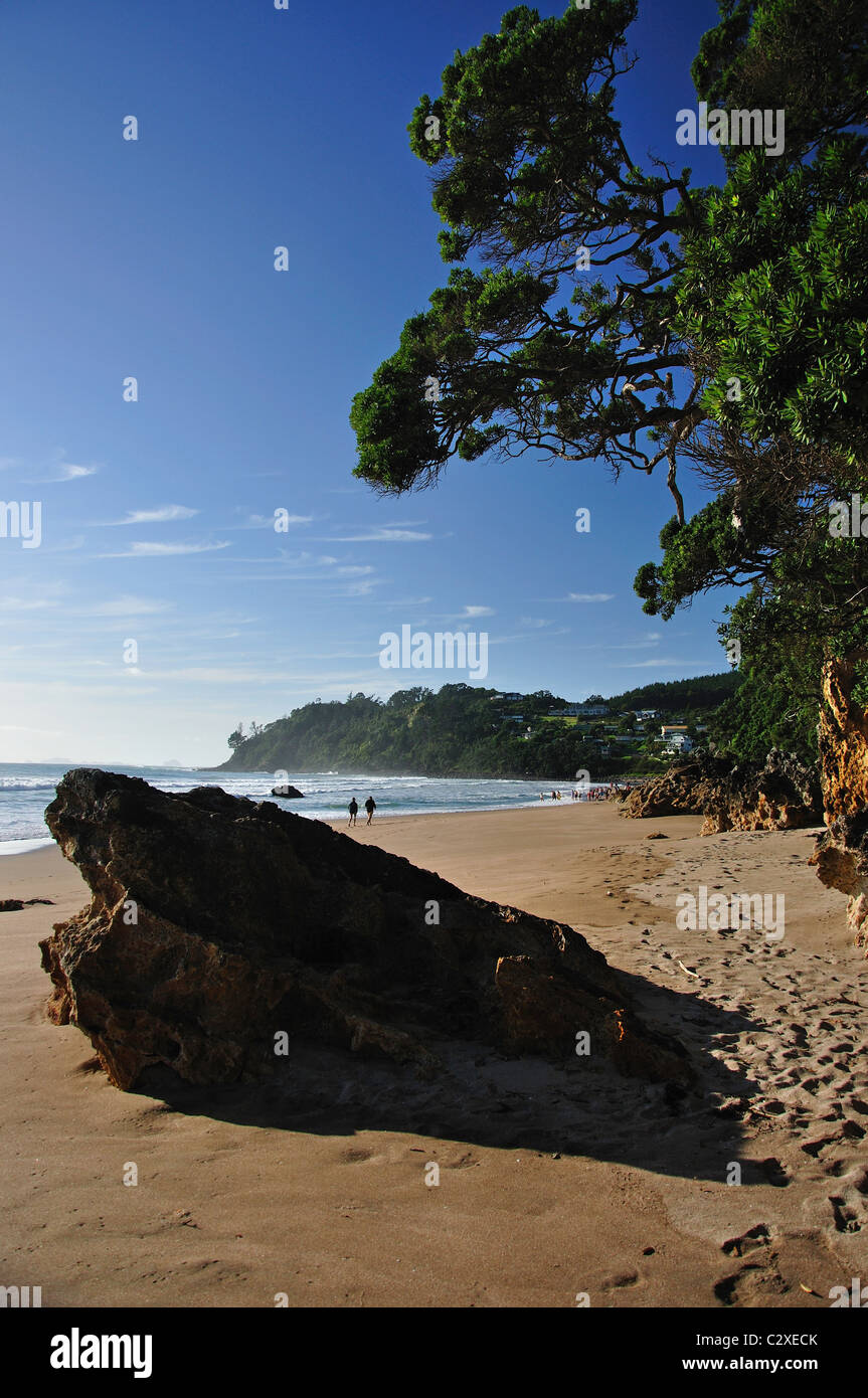 Hot Water Beach, Mercury Bay, Coromandel Peninsula, Waikato Region ...