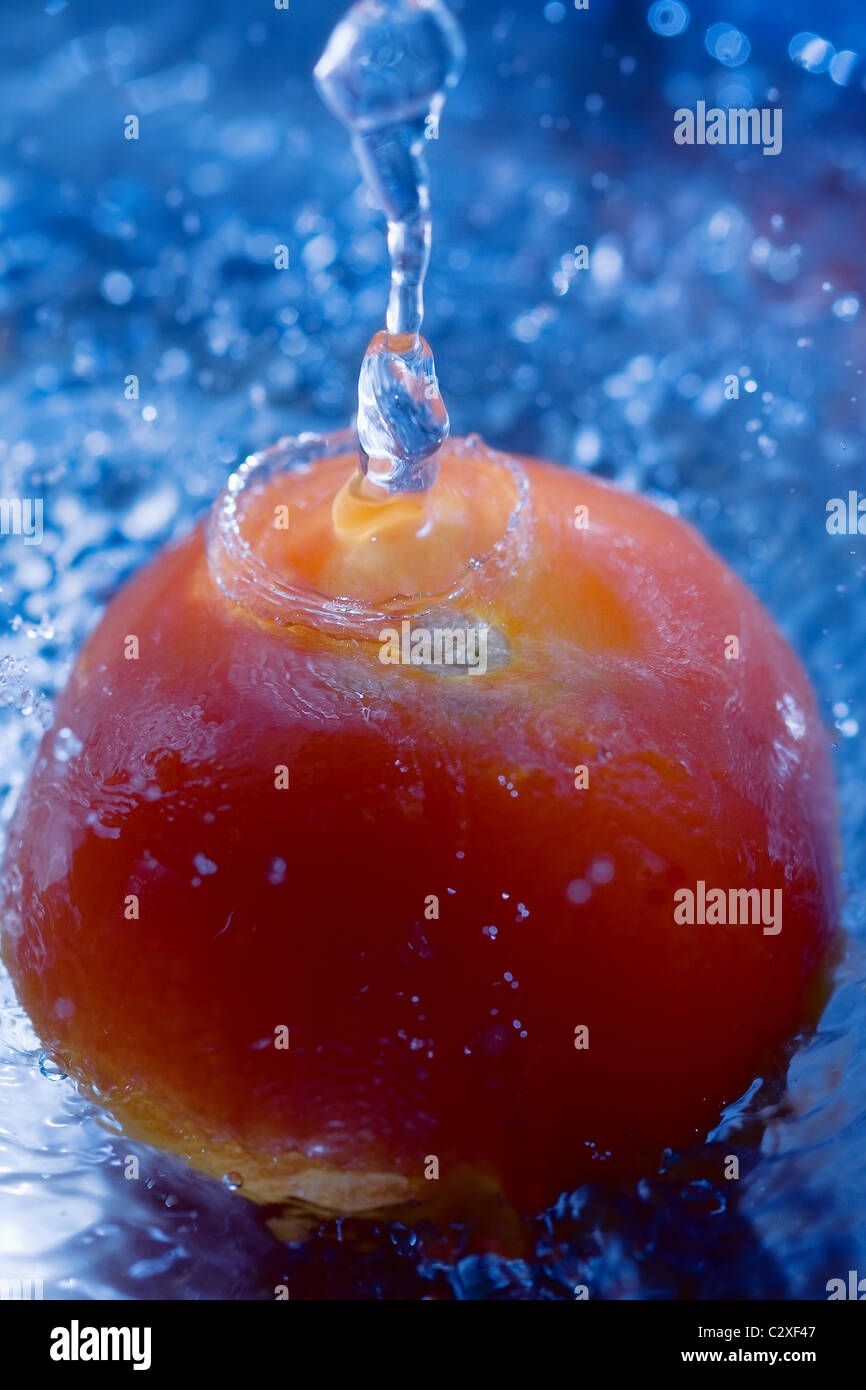 Washing fresh red tomato under water Stock Photo - Alamy