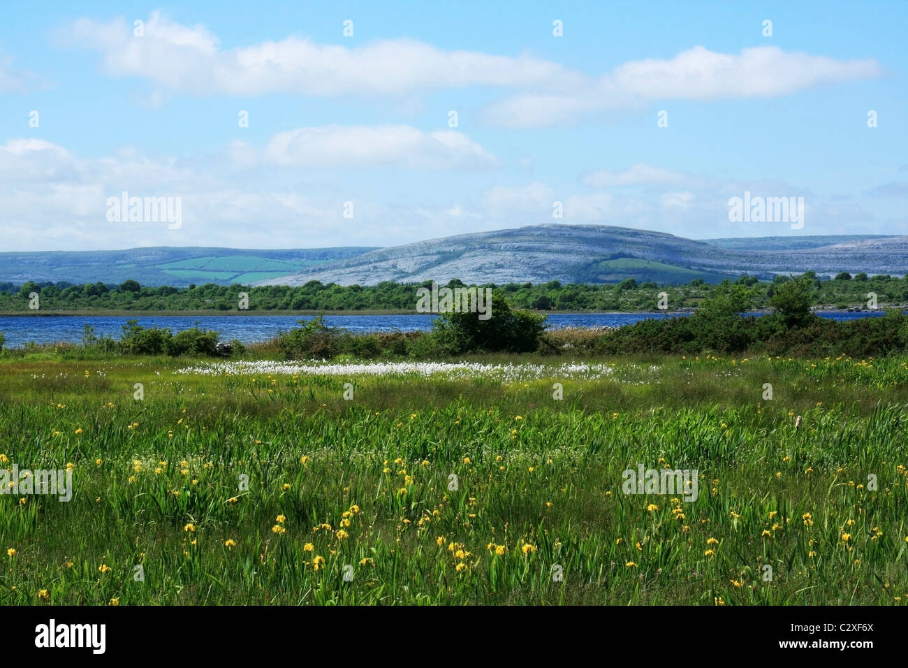 Co Clare, Ireland; At The Foot Of The Burren Stock Photo - Alamy